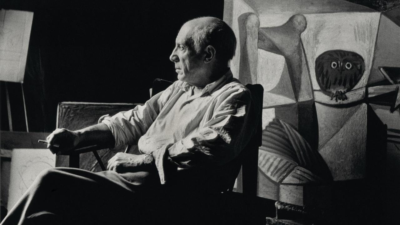 Picasso: Titan, Aktivist, Macho