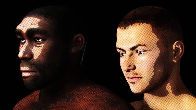 Hanno Sauer: "Moral" - Woher kommen unsere Werte?