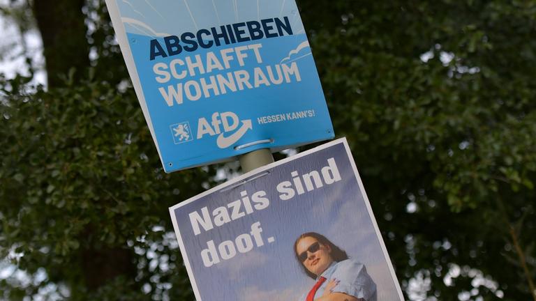 AfD-Kenner Oppelland erwartet "kein blaues Wunder"