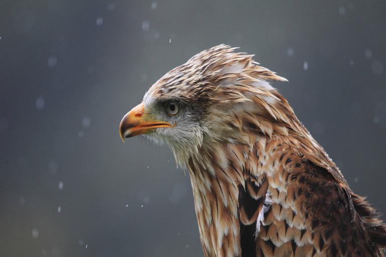 Windkraft in Baden-Württemberg - Nur ein laues Lüftchen