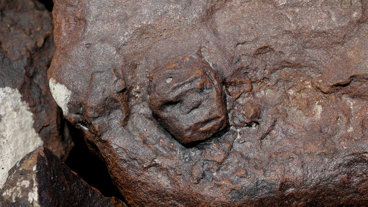 Rio Negro - Dürre im Amazonas bringt jahrtausendealte Steingravuren zum ...