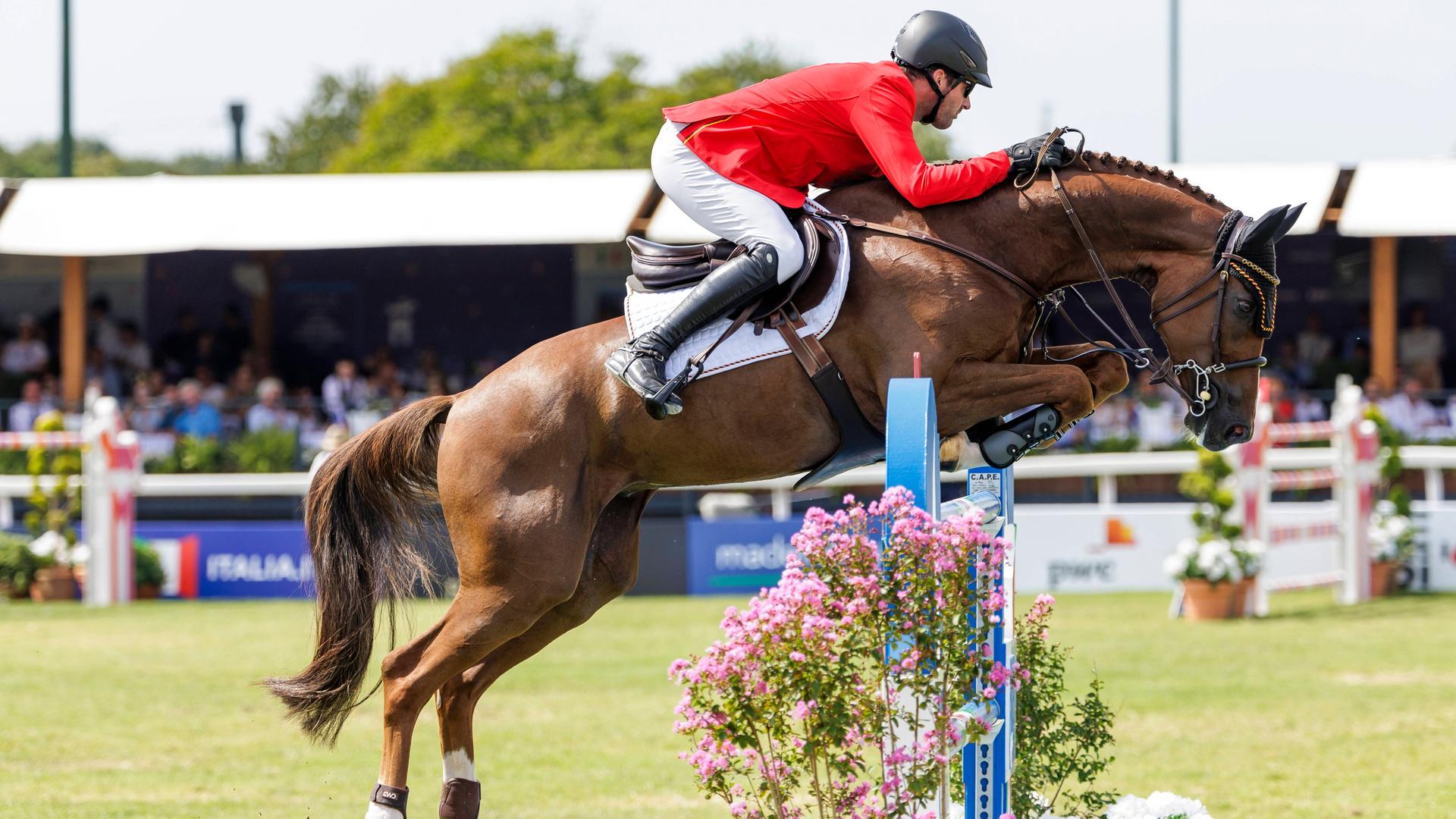 Springreiten - Weishaupt holt bei EM Silber-Medaille