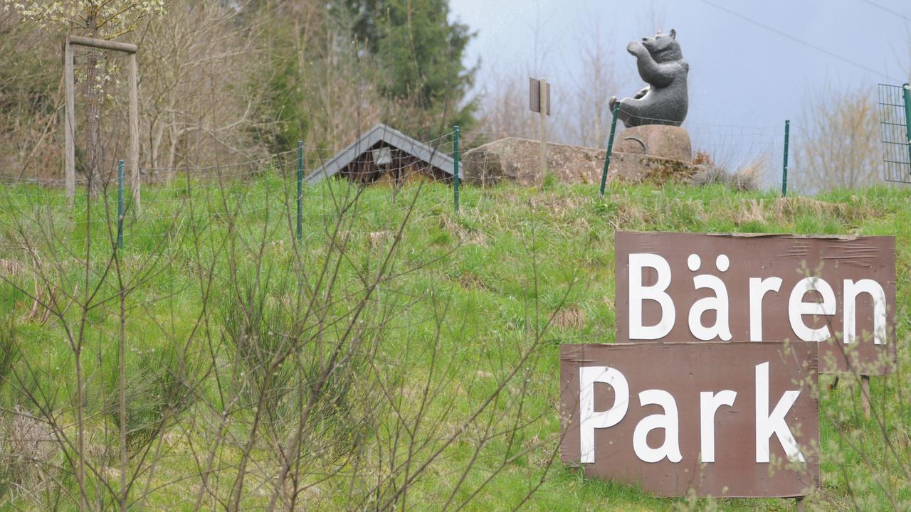 Nach Tod von Jogger - Wildbärin Gaia im Bärenpark Schwarzwald angekommen