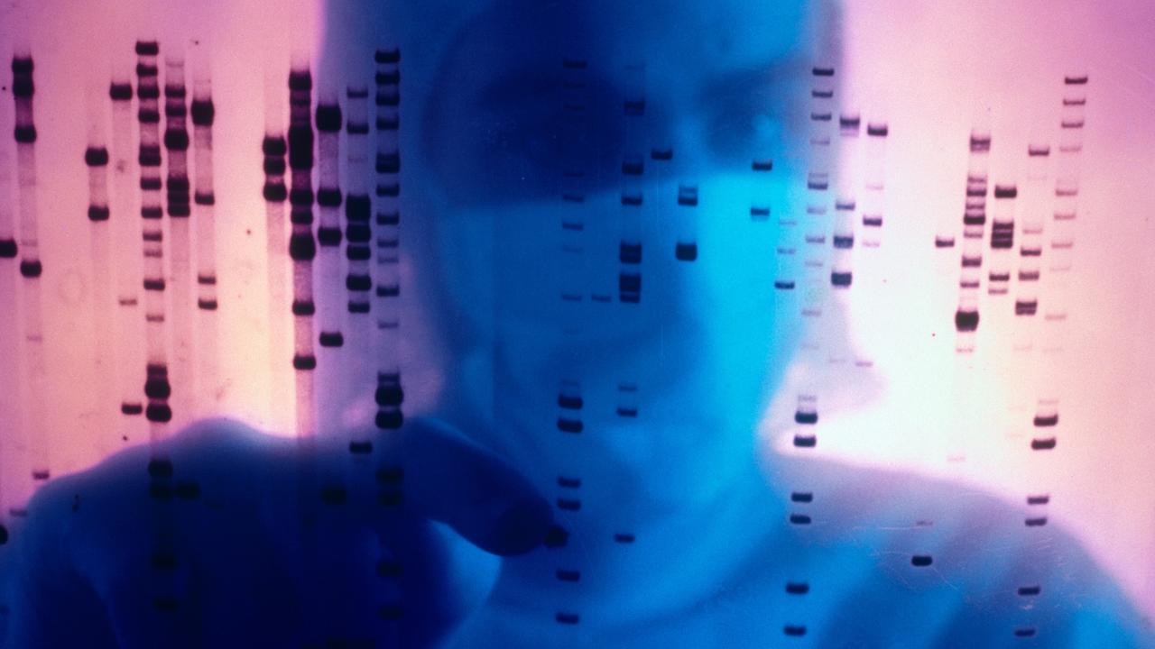 Genetik: Humangenom fast entschlüsselt