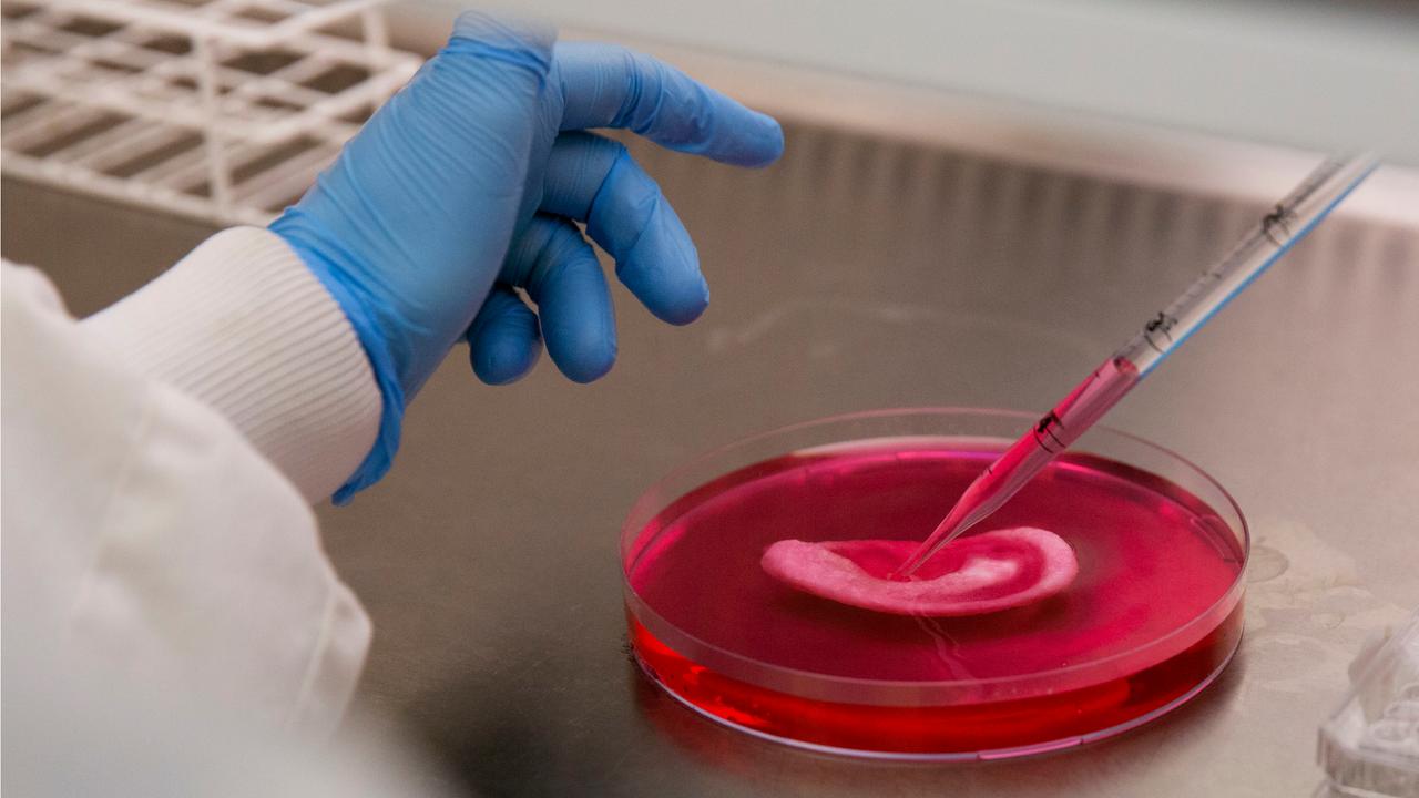 Optogenetik und Organoide liefern neue Erkenntnisse zu Krebs