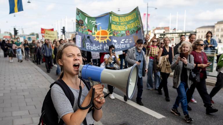 Gaza-Krieg - Schwedische Fridays-For-Future-Aktivisten um Greta Thunberg werfen Israel in ...