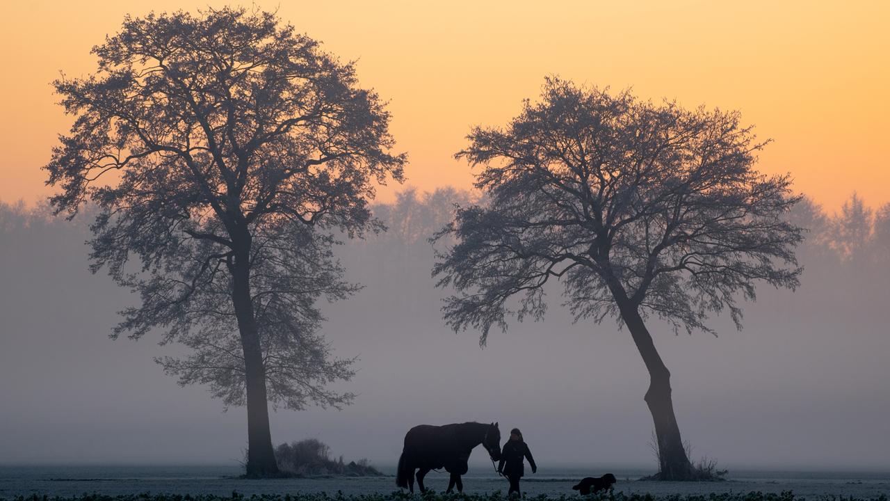 Wetter - Am Donnerstag im Norden bewölkt, im Süden trocken