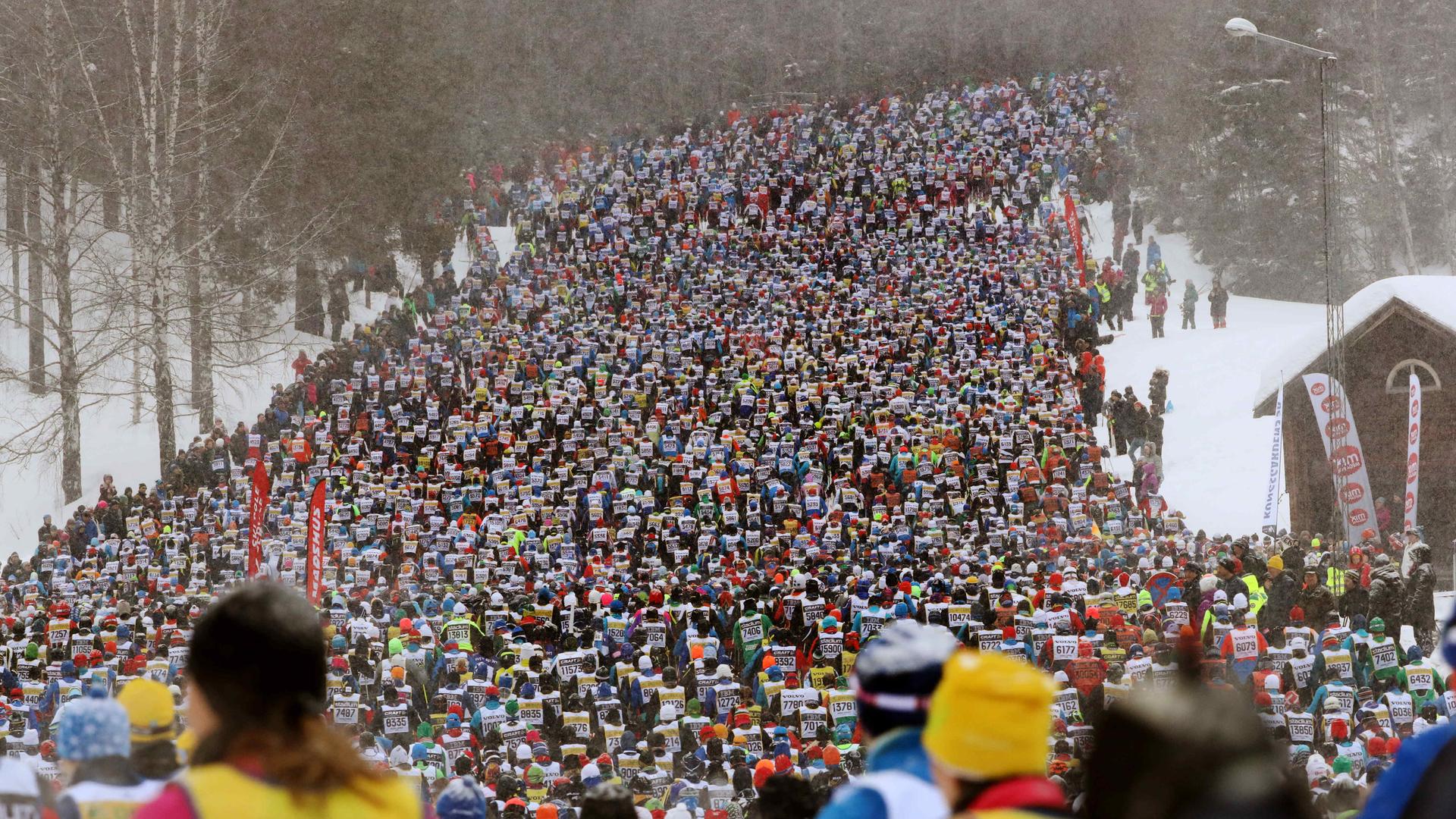 100 Jahre Wasalauf - Massen-Skimarathon in Schweden