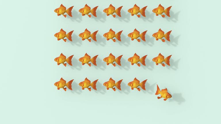 Anpassung und gesellschaftlicher Druck versus Individualismus