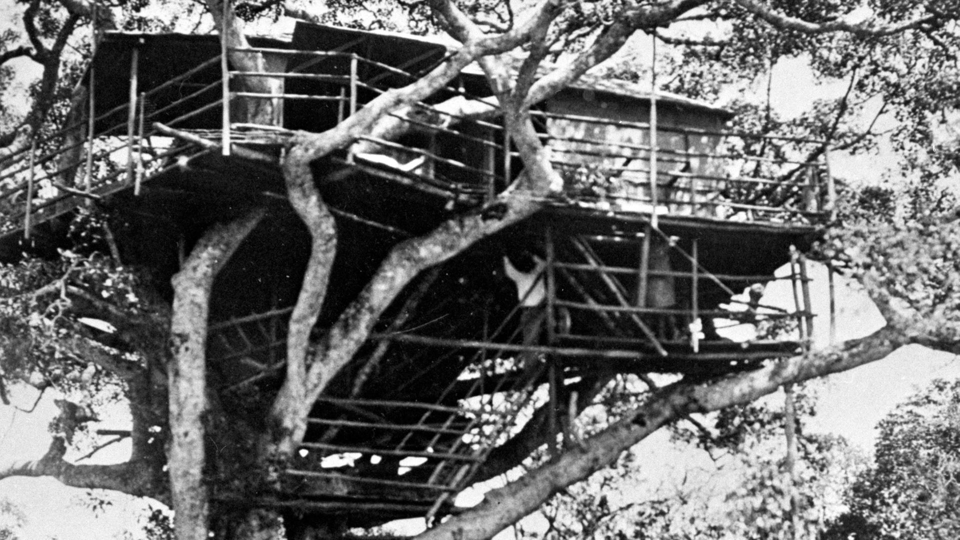 Kenia trauert - Das Land, in dem Elizabeth zur Königin wurde