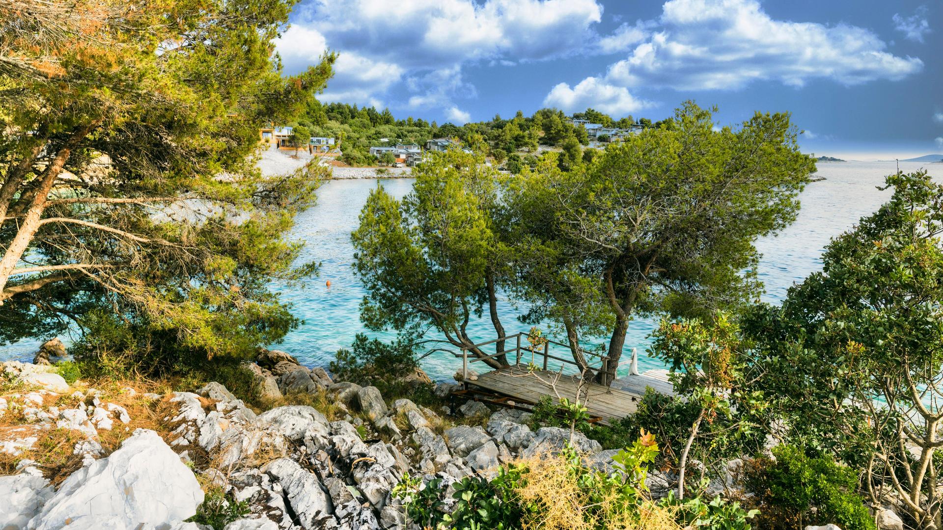 Dalmatinischer Winterspanner - Neuer Schmetterling aus Kroatien beschrieben