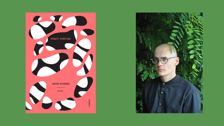 Robert Stripling: "Unter Stunden" - Poetische Welterkundung, märenumnachtet