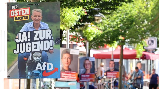 AfD - Aktuelle Beiträge zur Alternative für Deutschland
