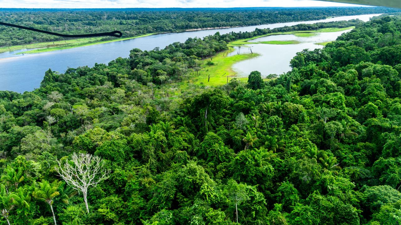 Wissensreichtum und Biodiversität im Amazonas-Regenwald