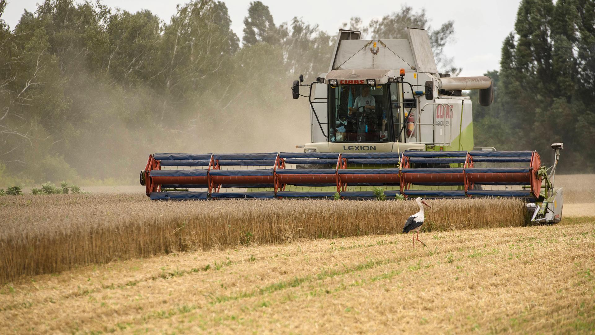 18. Juli 2023 - Die internationale Presseschau