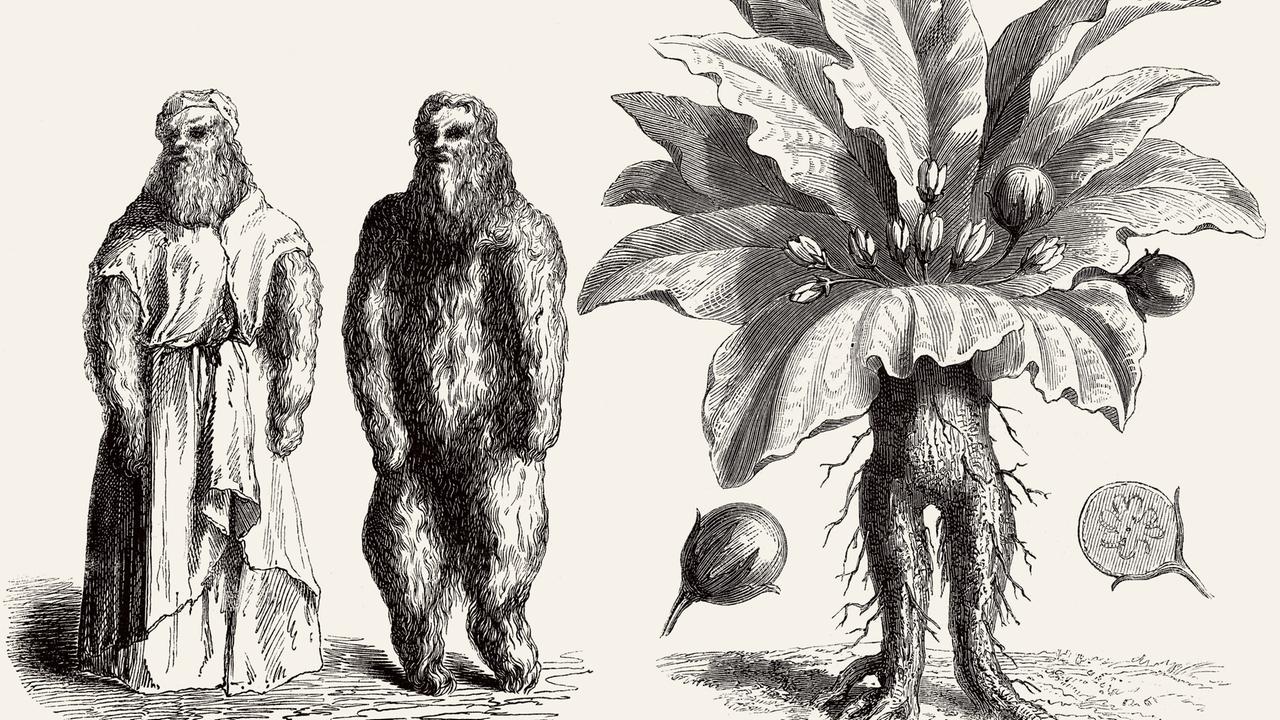 Giftige Pflanzen: "Fatale Flora" führt in den Giftgarten