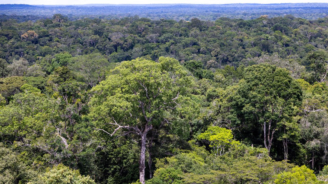 Südamerika - Staaten des Amazonas-Gebiets beraten in Kolumbien über ... Südamerika - Staaten des Amazonas-Gebiets beraten in Kolumbien über ...