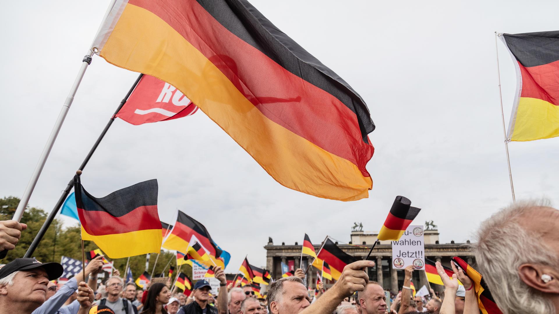 Alternative für Deutschland (AfD)