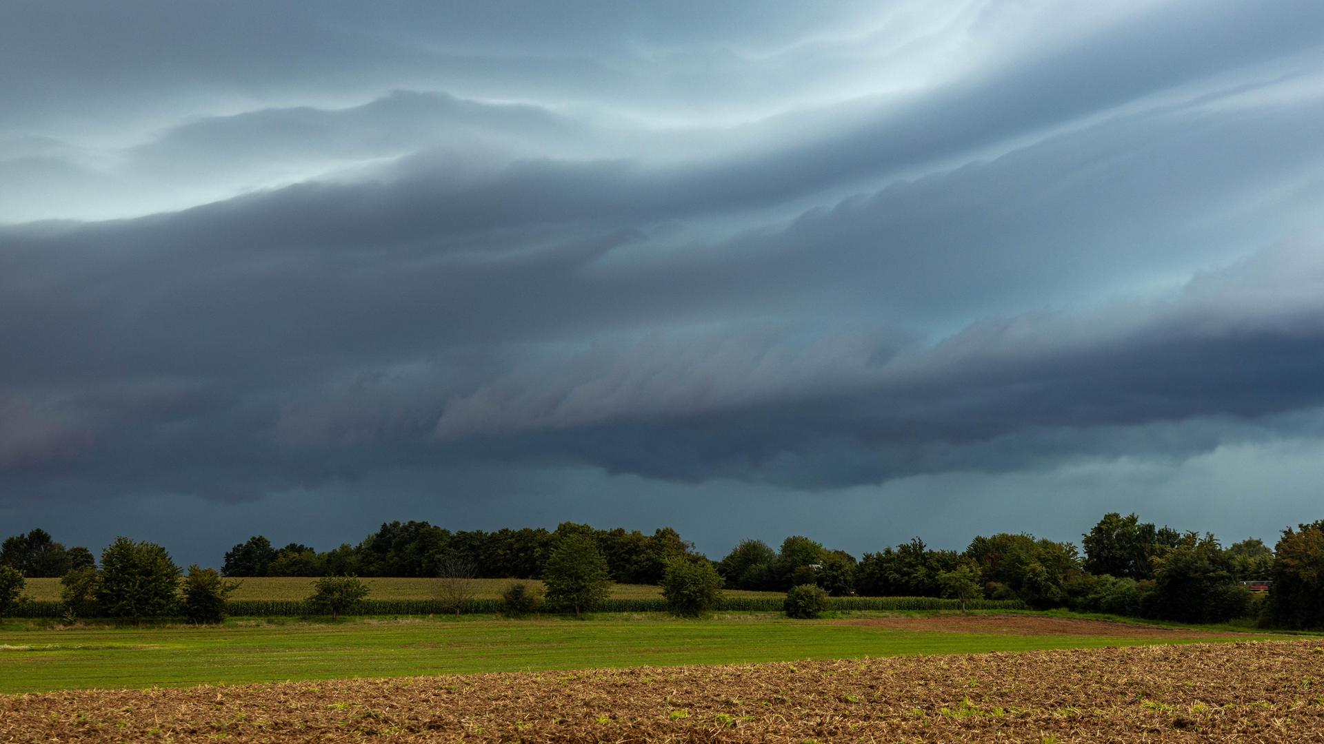 Wetter - Im Norden und Westen teils Regen, sonst auch sonnig