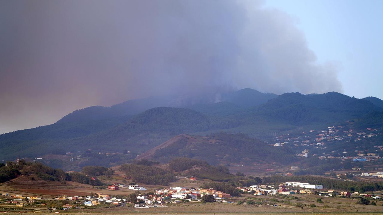 Kanaren - Mehr als 12.000 Menschen vor Waldbrand auf Teneriffa in ...