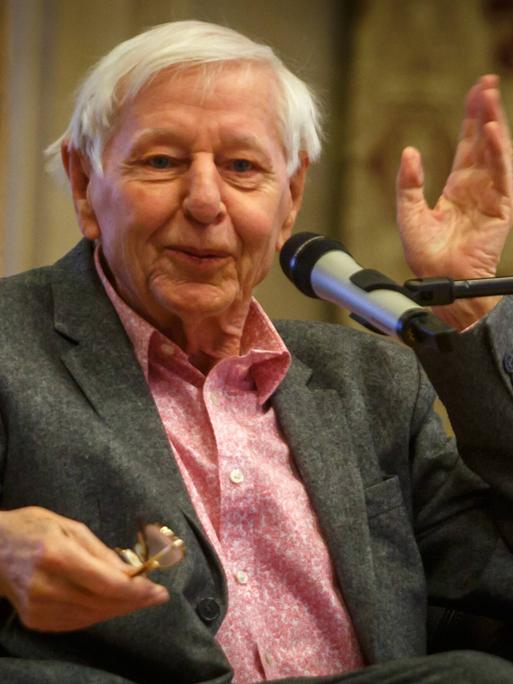 Zum Tod von Hans Magnus Enzensberger - "Texte zum Nachdenken und zum Vergnügen"