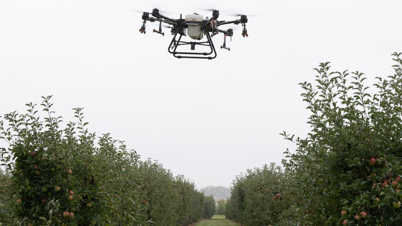 KI auf dem Bauernhof - Chancen und Risiken von Smart Farming