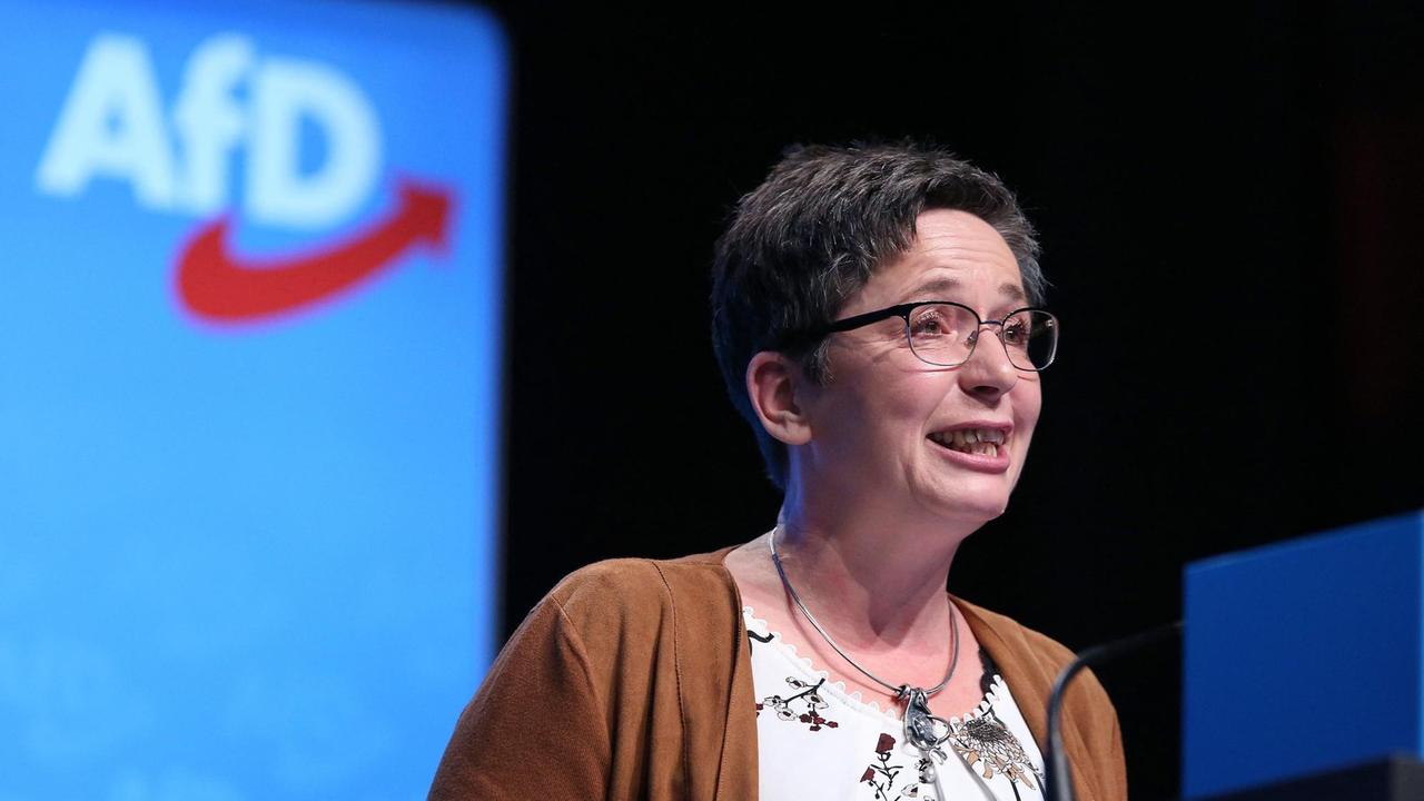 Spionage-Affäre - Scheidende AfD-Politikerin Limmer wirft Parteiführung ...