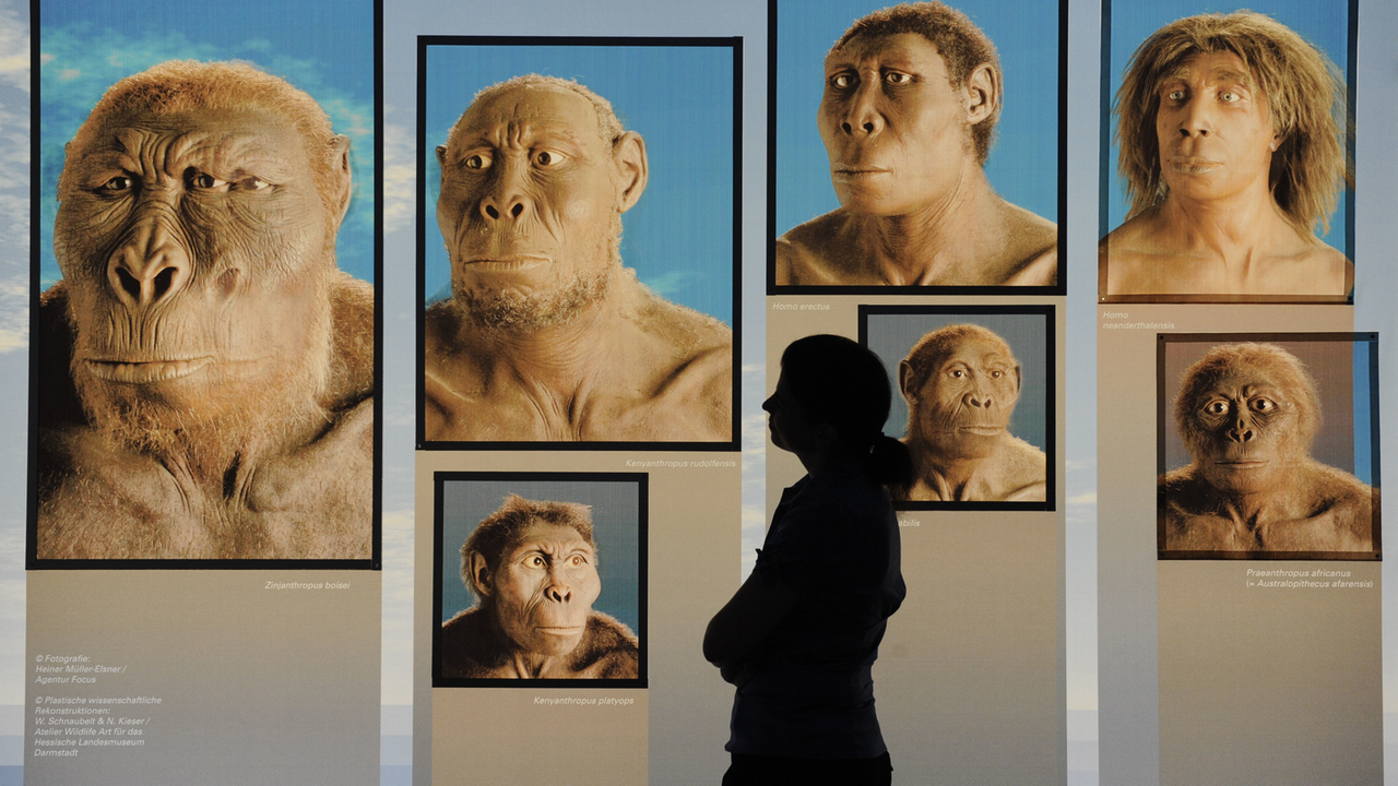 Evolutionstheorie - Große Wissenslücken, erhöhte Zweifel