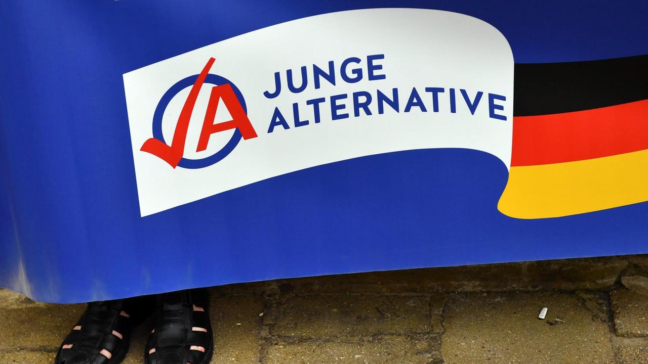 Jugendorganisation - AfD-Spitze treibt Pläne für eine Trennung von der ...