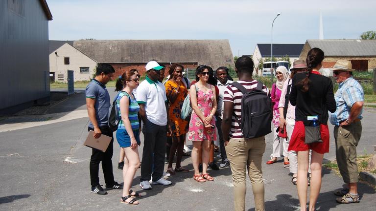 Feldheim in Brandenburg - Ein Dorf schafft die Klimawende