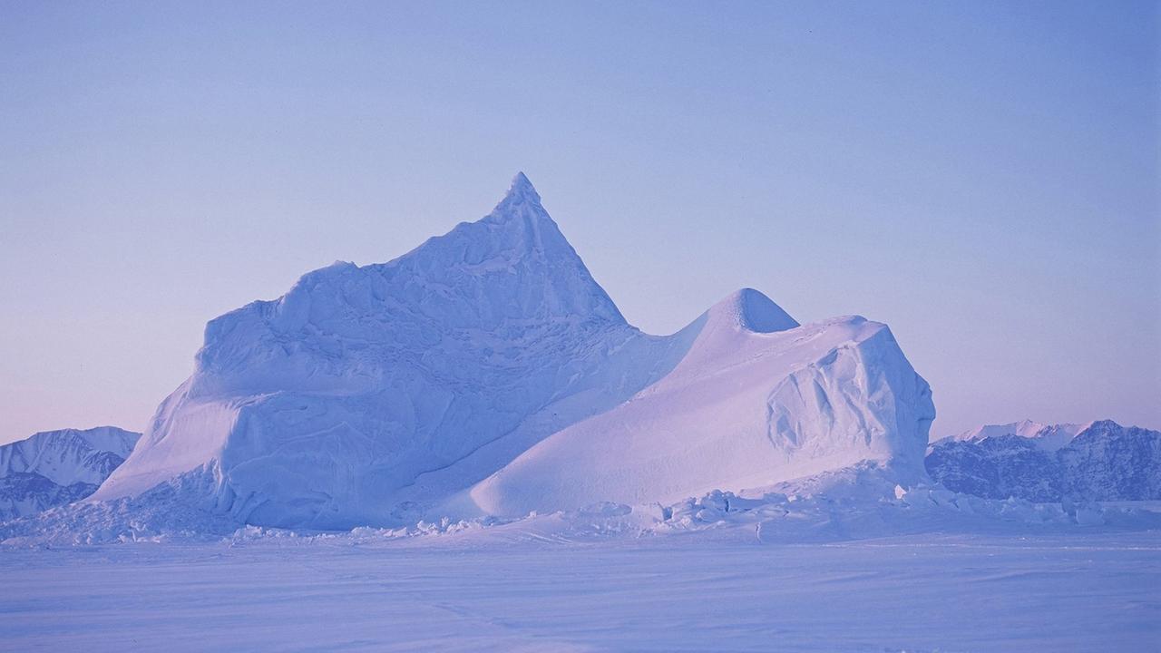 Klimawandel - Eisberge als Nährstofflieferanten