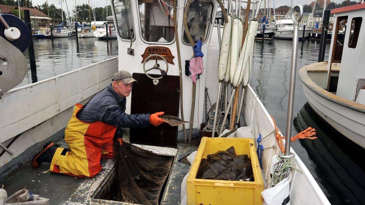 Aquakultur - Fisch für acht Milliarden