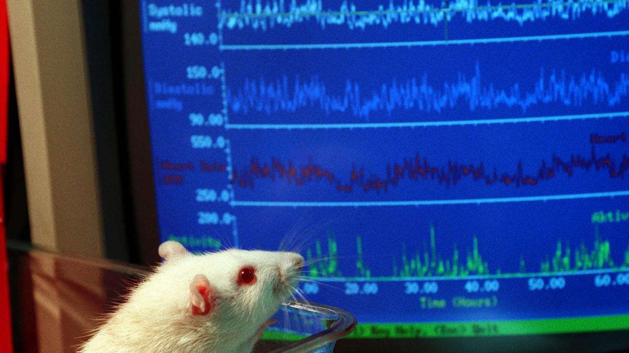 Nobelpreis 2014 - Dem "Hirnknattern" lauschen
