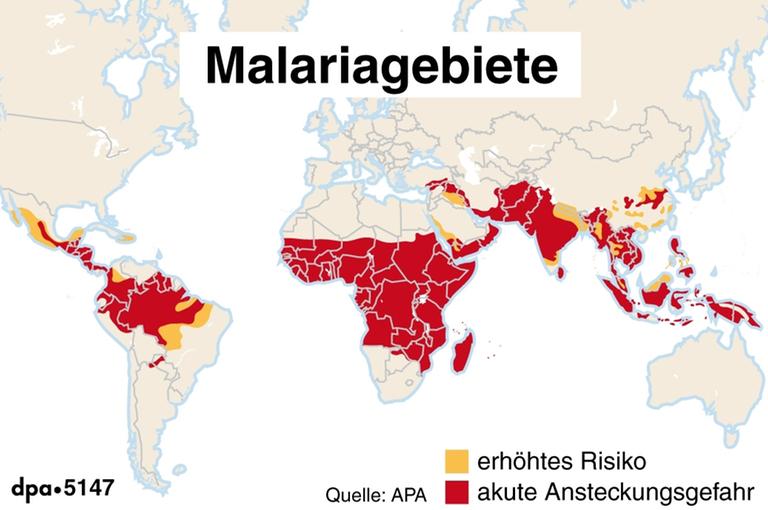 Malaria-Überträger - Wo steckt Anopheles in der Trockenzeit?
