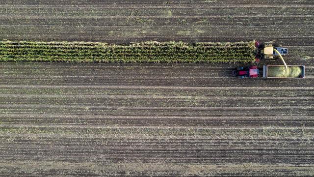 Kernziele zum Schutz der Biodiversität - Artensterben stoppen ...