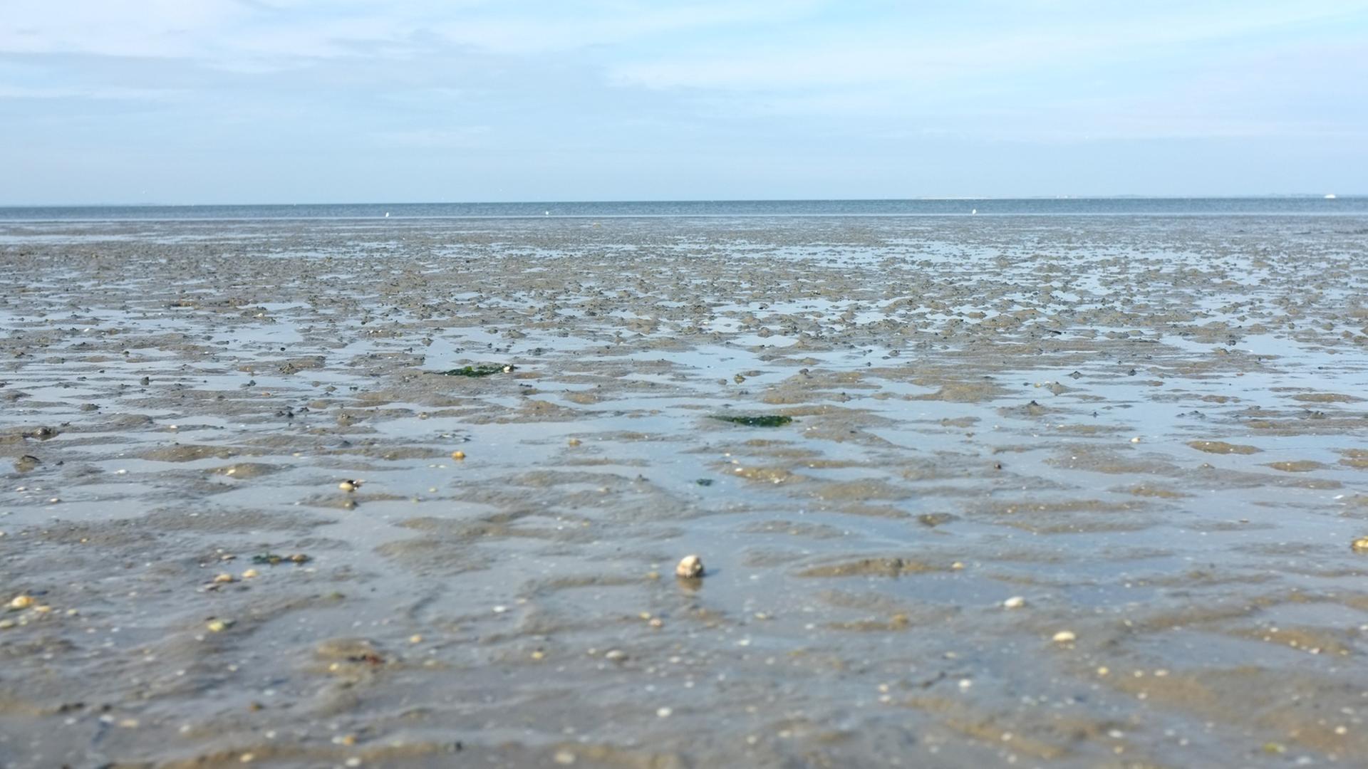 Ebbe und Flut - Das Rätsel der Gezeiten