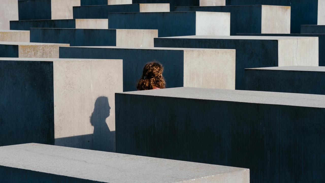 Michael Rothberg über Holocaust und Kolonialverbrechen - "Erinnerung ...