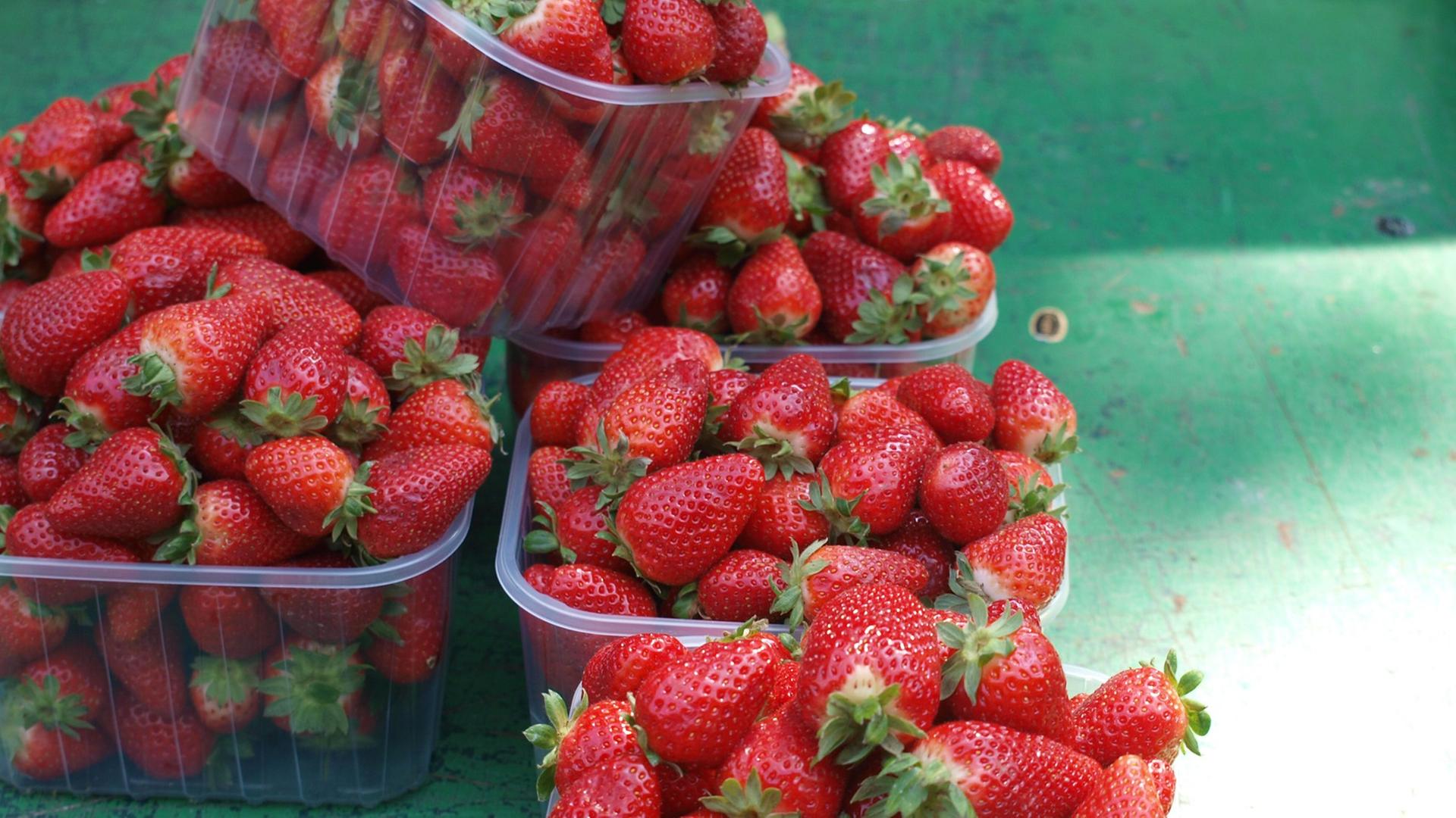 Schummelei bei der Herkunft - Etikettenschwindel bei Erdbeeren