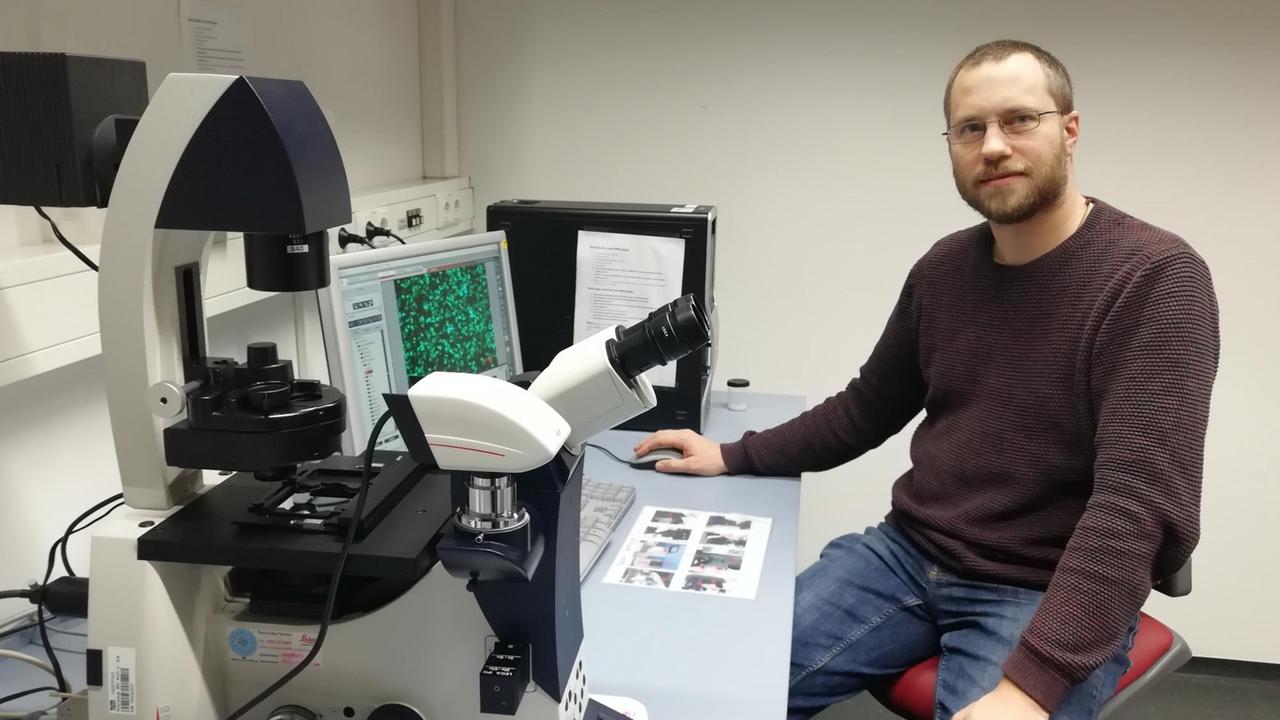 Die Kühnen Konzepte Der Quantenbiologie Qubits Im Kopf