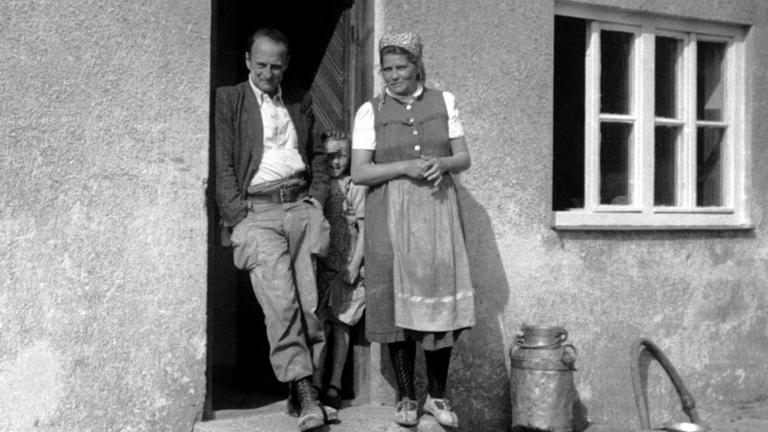 Die Scheringer- Saga (1/2) - Grüner Baum auf rotem Grund