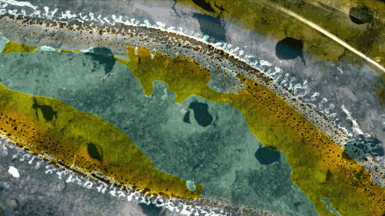 Nach Antonin Artaud mit Patti Smith und Werner Herzog - The Peyote Dance