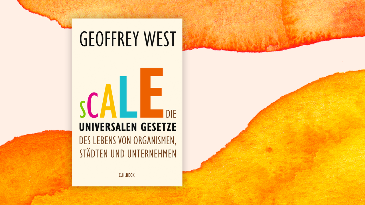 Geoffrey West: "Scale" - Eine Weltformel der Nachhaltigkeit