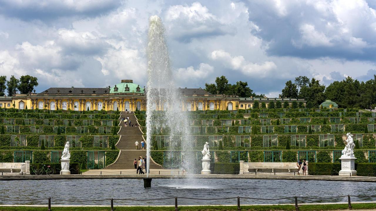 Park Sanssouci Eintritt
