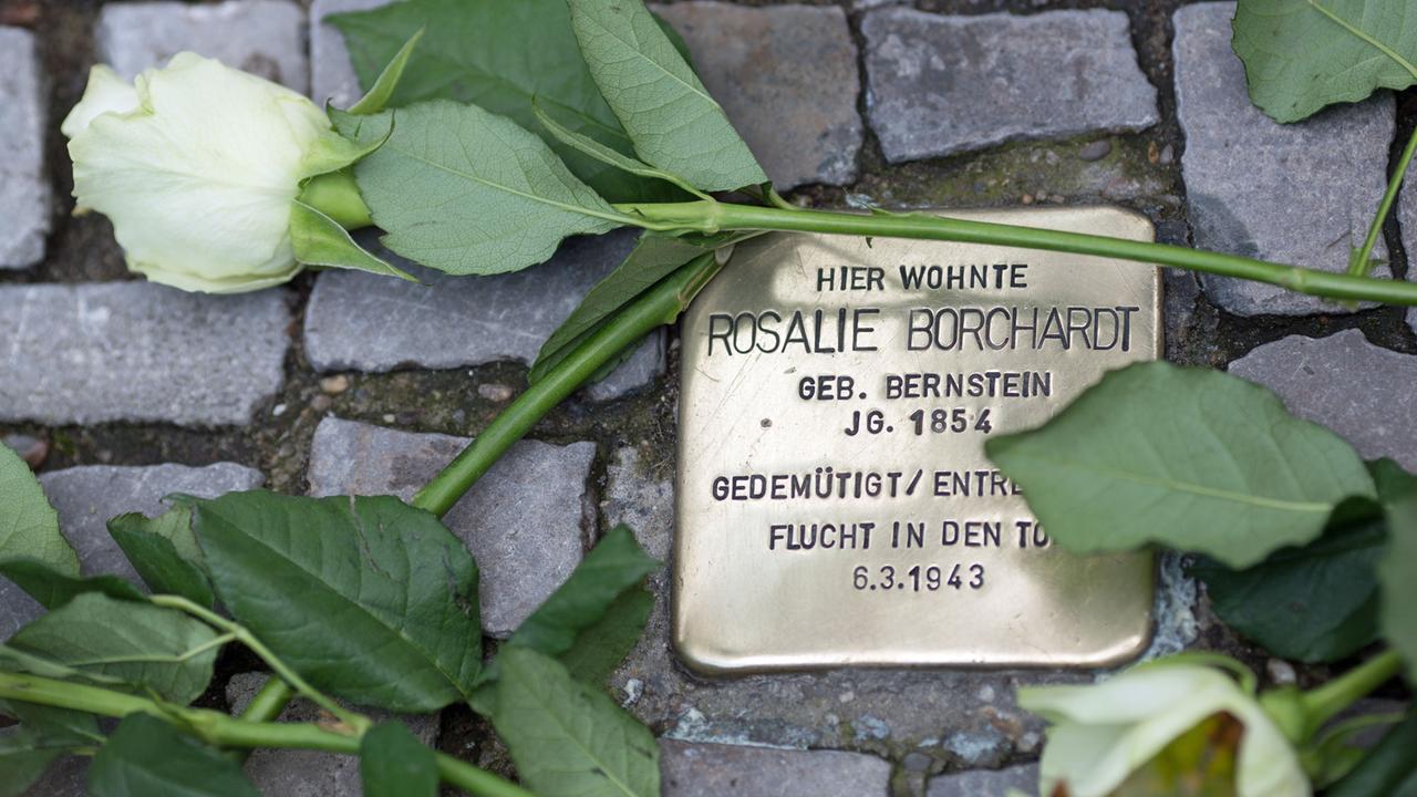 20 Jahre Stolpersteine - Holocaust-Erinnerung im Wandel