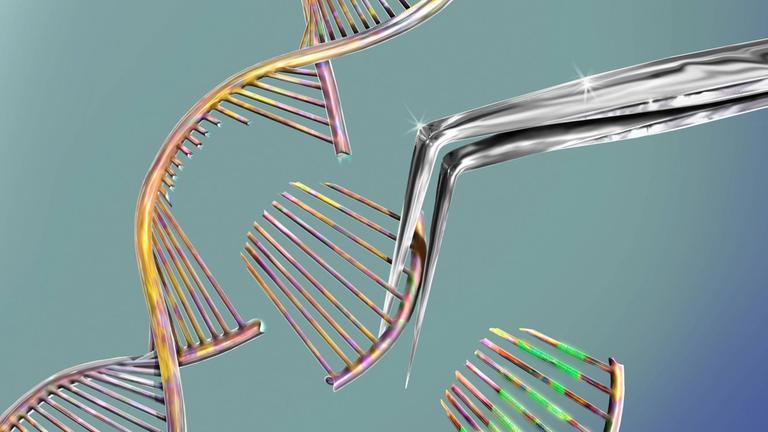 CRISPR-Cas9 - Warum die Genschere Biologie und Medizin revolutioniert