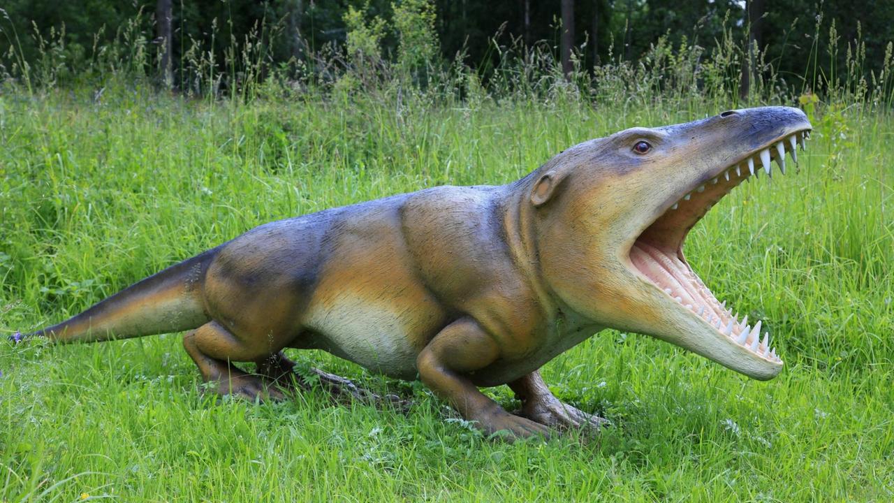 Frühzeit der großen Meeressäuger - Der vierbeinige Wal