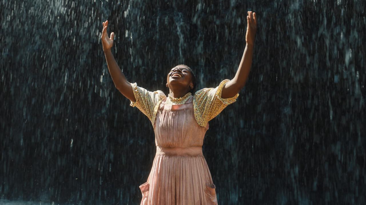 "Die Farbe Lila" neu im Kino: Alice Walkers Klassiker als Musical