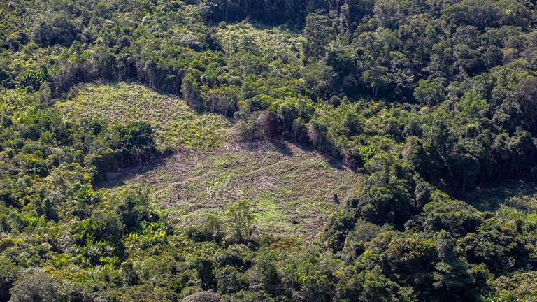 Gipfeltreffen - Amazonas-Staaten beraten über Schutz des Regenwaldes Gipfeltreffen - Amazonas-Staaten beraten über Schutz des Regenwaldes