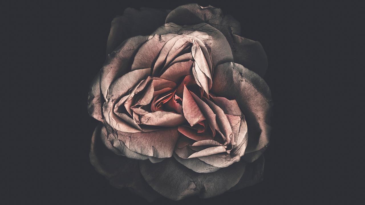 Tod und Sterben: Wie umgehen mit dem Tabuthema Sterblichkeit?