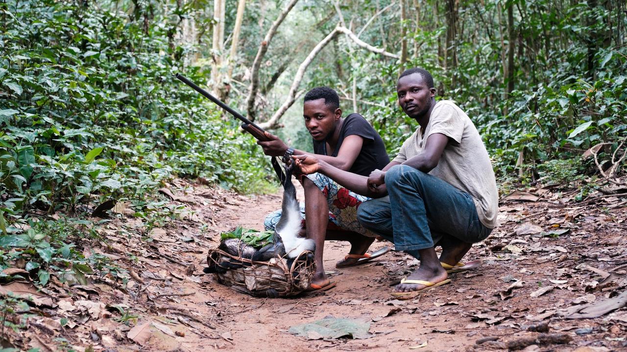DR Kongo - Ein Konflikt um politischen Einfluss und Rohstoffe